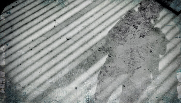 Collateral Consequences and the Enduring Nature of Punishment | Brennan ...