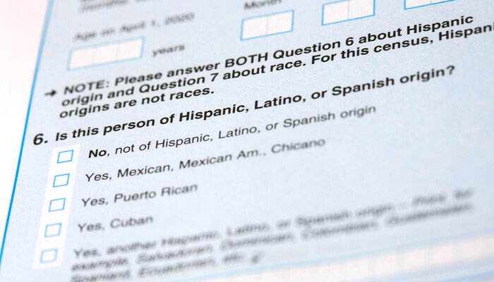 The Benefits of Combining Ethnic Identity with Race in the Census ...