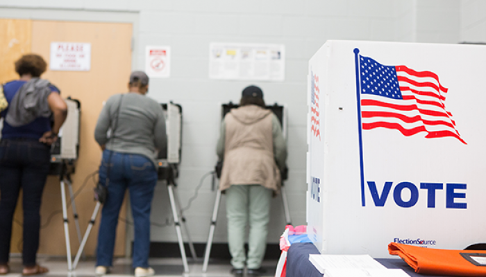 Calls for More Purges Rest on Shaky Data | Brennan Center for Justice