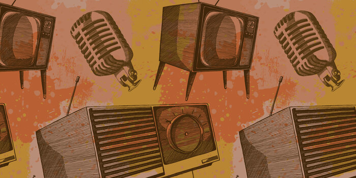 Walter Shapiro | Brennan Center for Justice